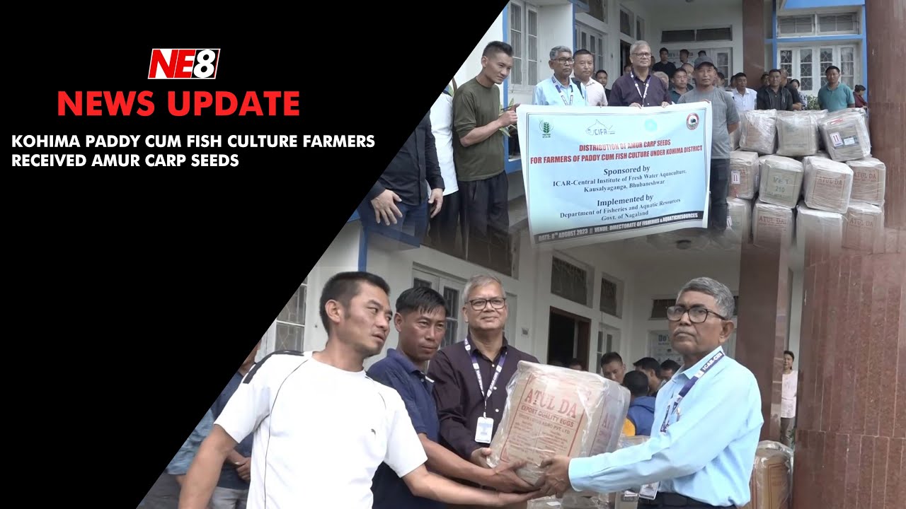 Kohima Paddy Cum Fish Culture farmers received AMUR CARP seeds - YouTube