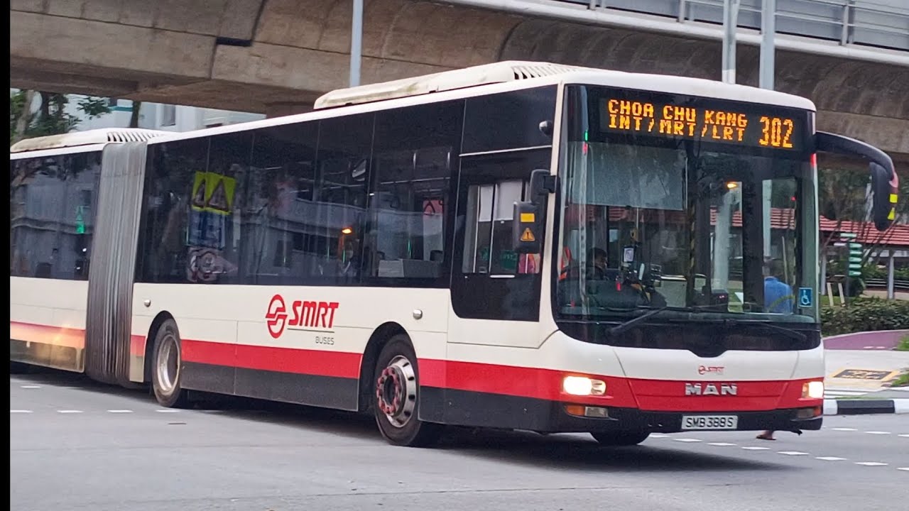 [運動] SMRT Bus Service 302 Bendy Buses - SMB388S, SMB8019E, SMB8032R ...