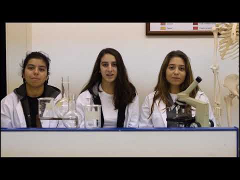 SAİNT MİCHEL İSTANBUL   LS DREAMS 8TH EDİTİON  mp4