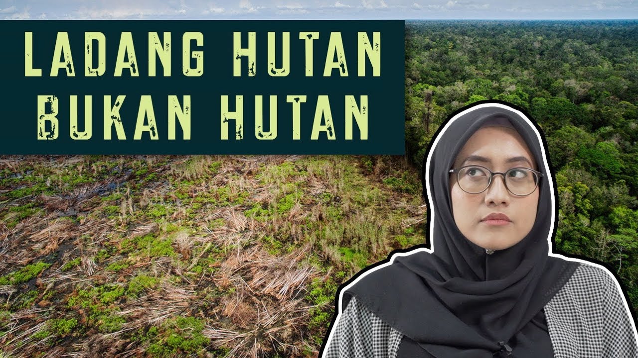 Ladang Hutan Bukan Hutan - YouTube