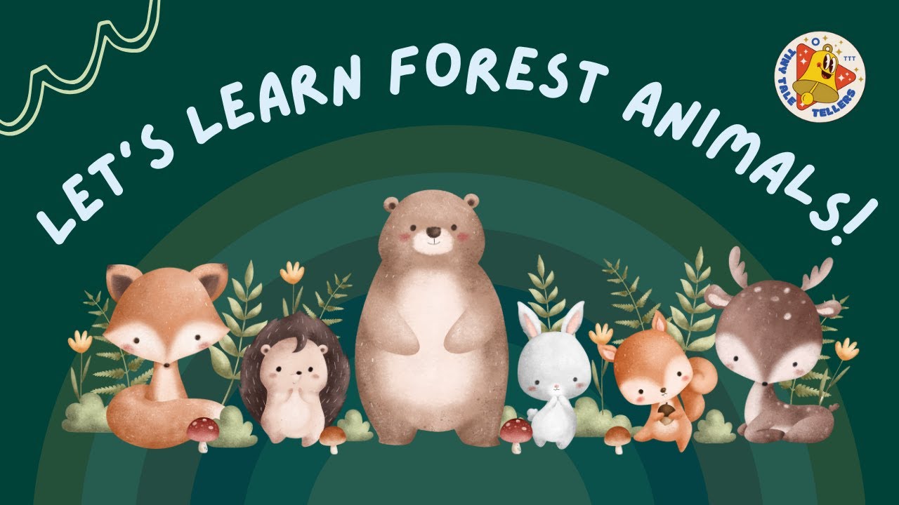 How to teach Forest Animals? Fun Animal Flash card for Kids! - YouTube