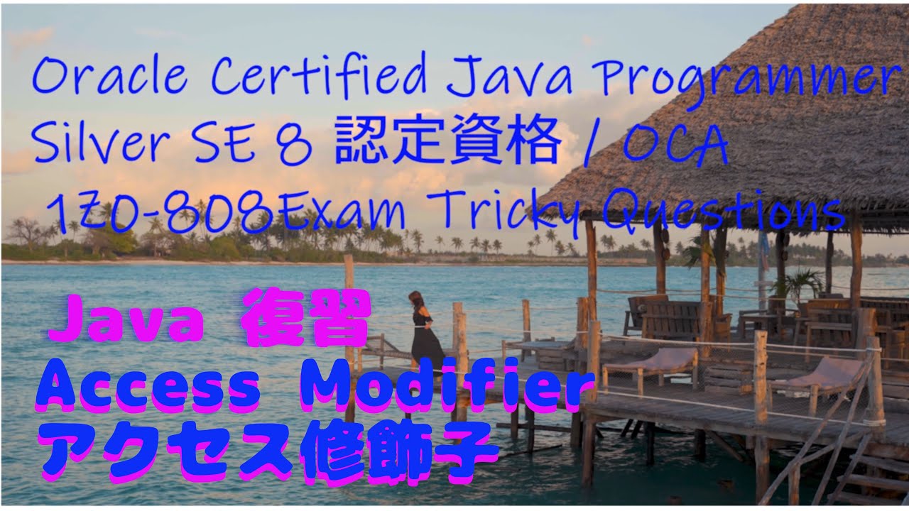 【Java Silver 認定試験】Java Programmer Silver SE試験の復習用リラクゼーション型Javaのエンタメ動画ー ...