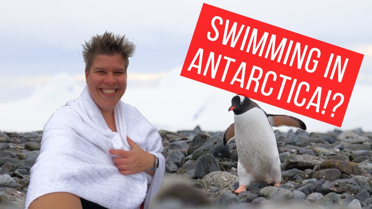 Swimming in Antarctica!? - Antarctica series - ep. 02 - YouTube
