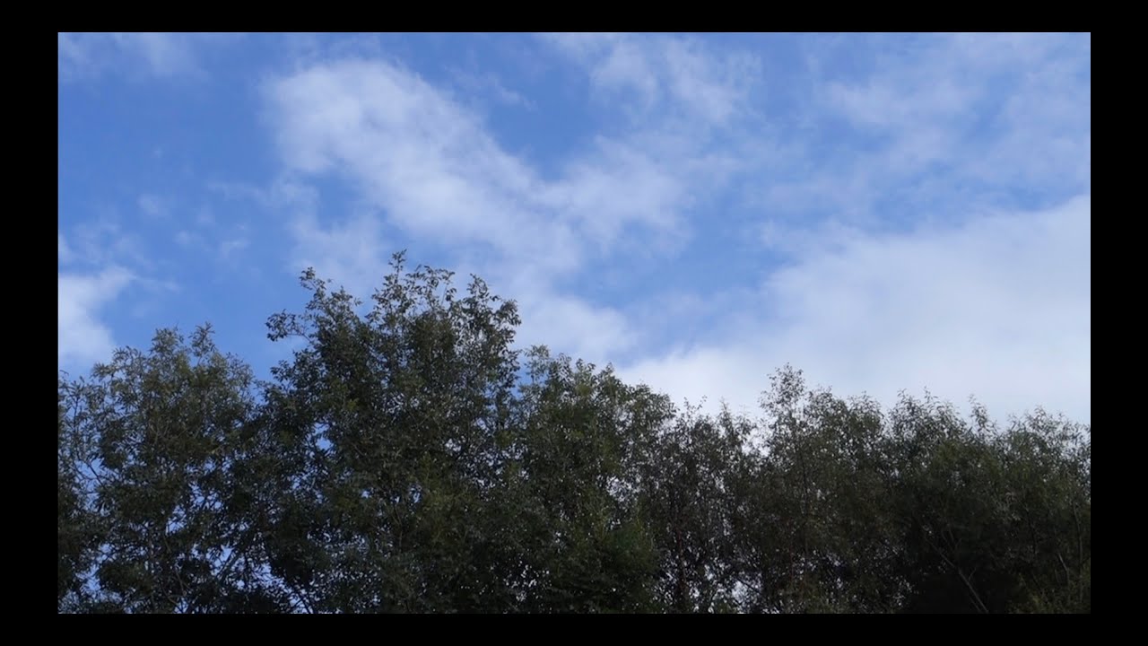 September Sunshine - YouTube