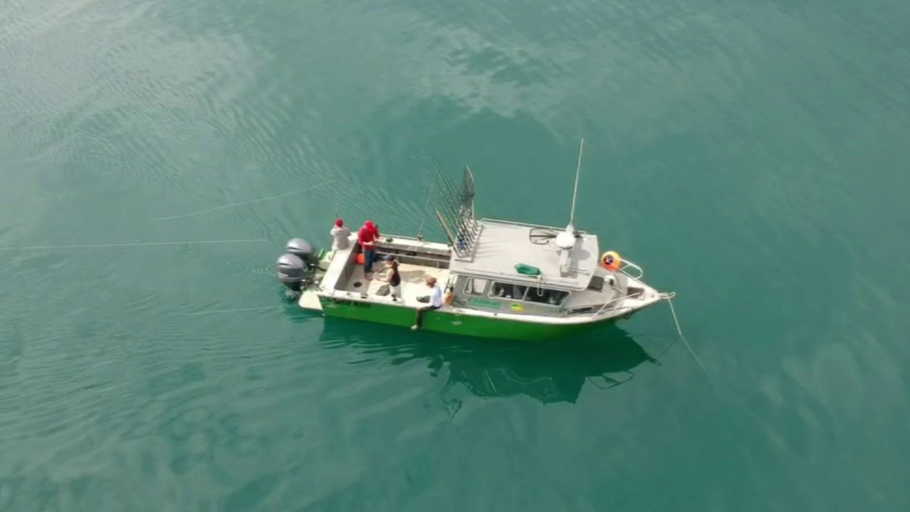 Anglers inn alaska gustavus Juneau alaska - YouTube