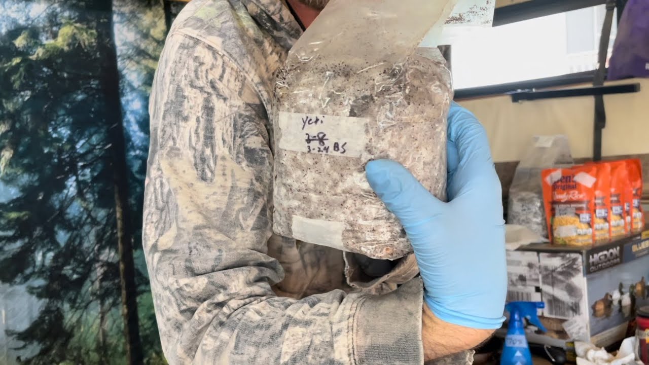 Major clean after contamination - YouTube