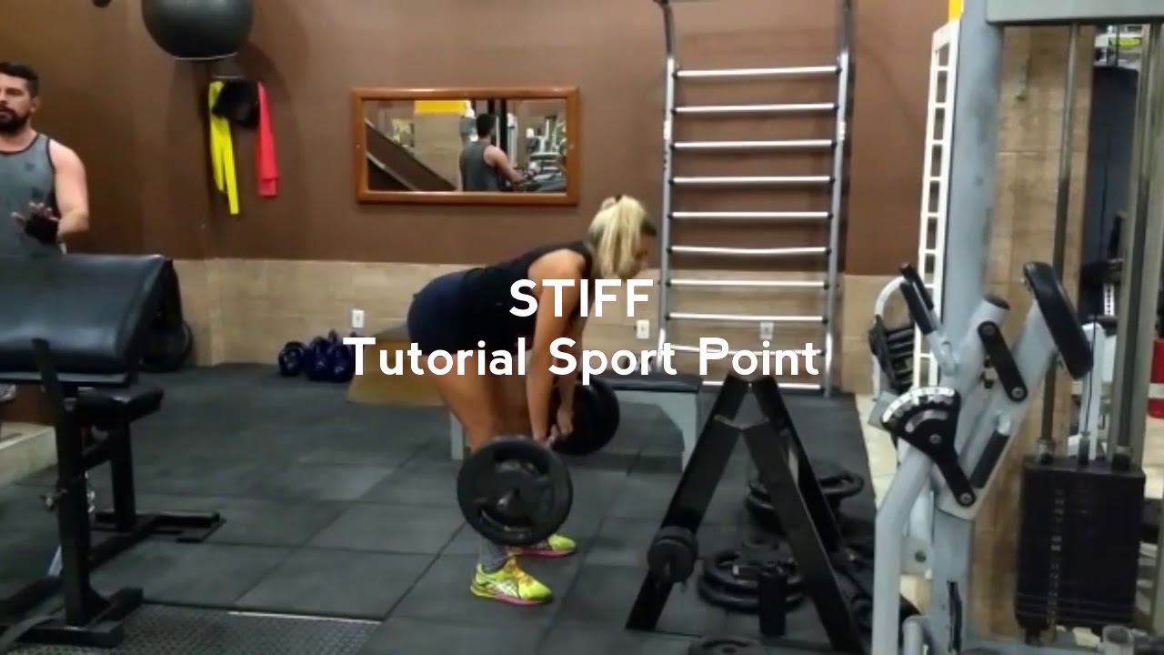 Tutorial Sport Point - Stiff - YouTube