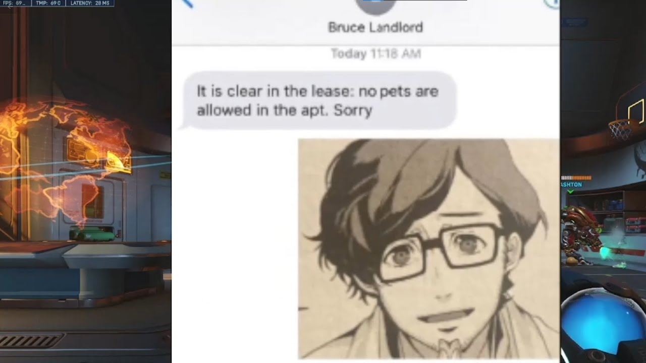 bruce landlord - YouTube