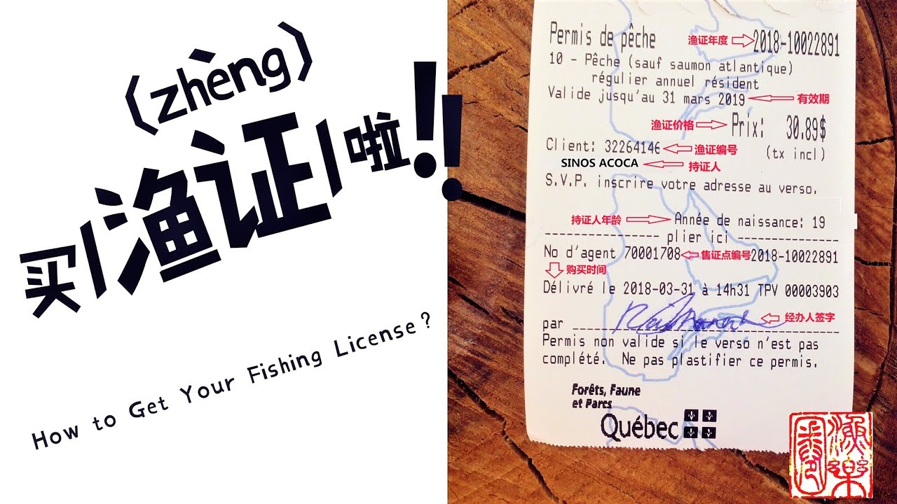【钓鱼证 Fishing Permit】北美钓鱼，如何购买渔证？持证上岗，合法拿鱼：How to get your Fishing ...