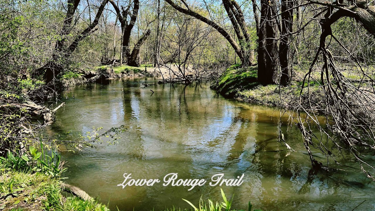 Lower Rouge Trail | Hiking with dog - YouTube