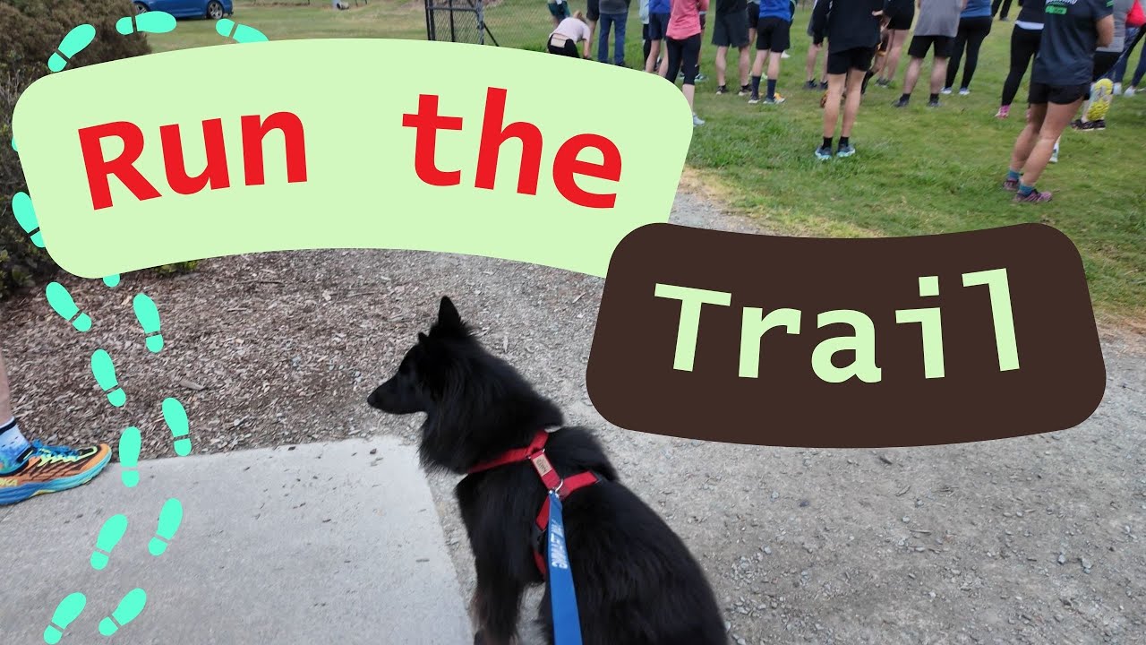 Taking my Dog Trail Running - YouTube