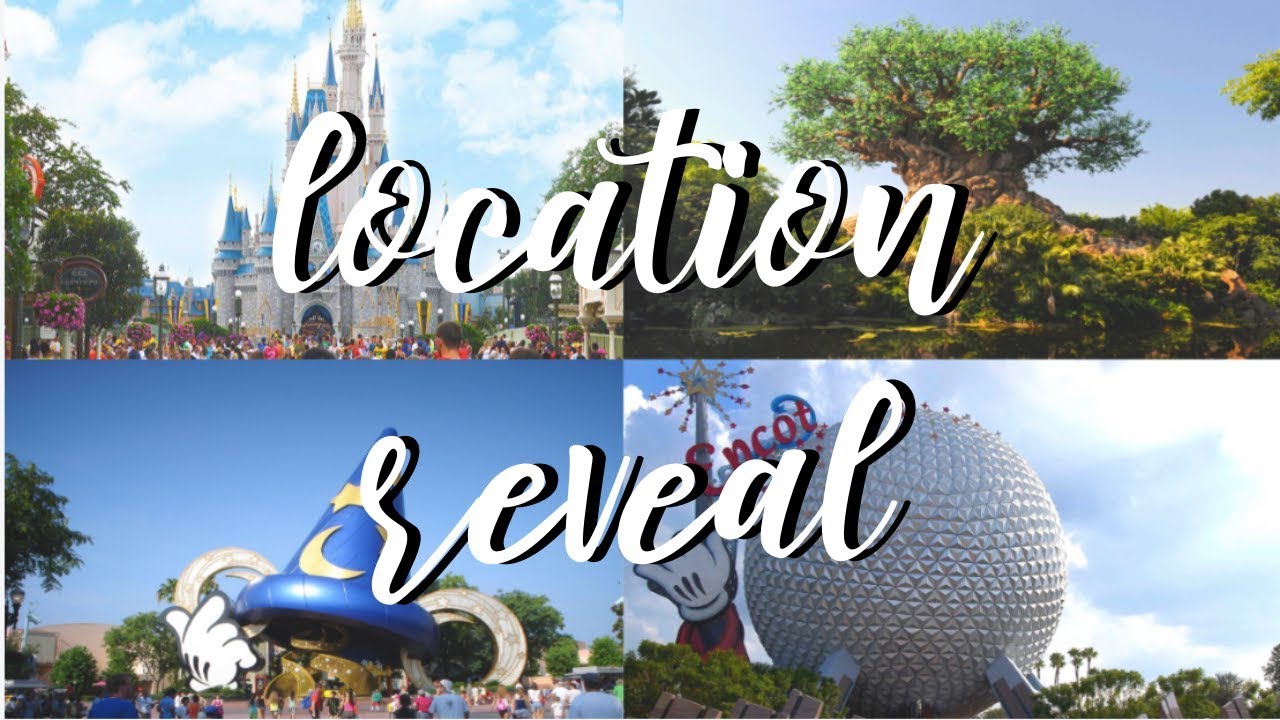 disney college program location reveal - dcp spring 2019 - character ...