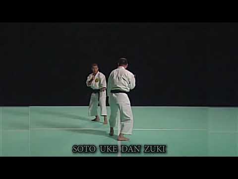 SOTO UKE DAN ZUKI 3 DAN SHORINJI KEMPO