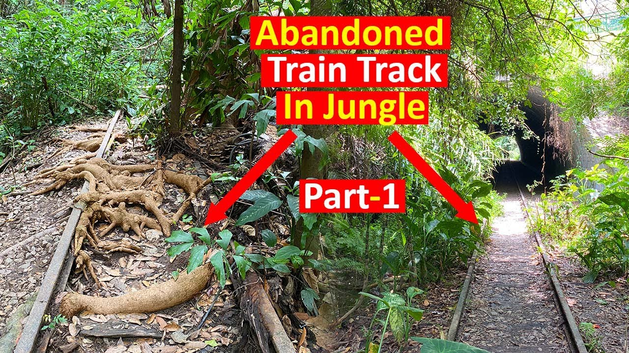 Abandoned Train Track in Singapore Jungle - Part 1 - YouTube