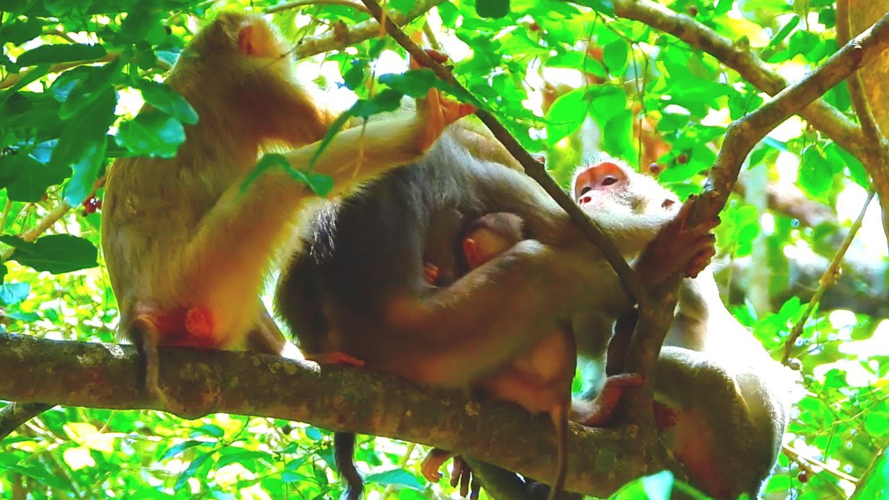 Jane feels surprise when Libby take Lilly visit during the nap and she kindly talk to her - YouTube