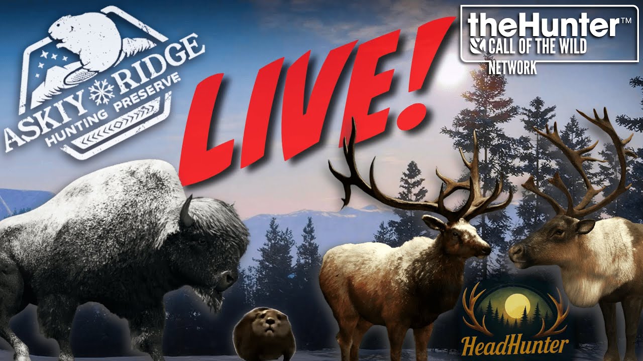 First LIVE look at ASKIY RIDGE! What should we HUNT?! [Early Access ...