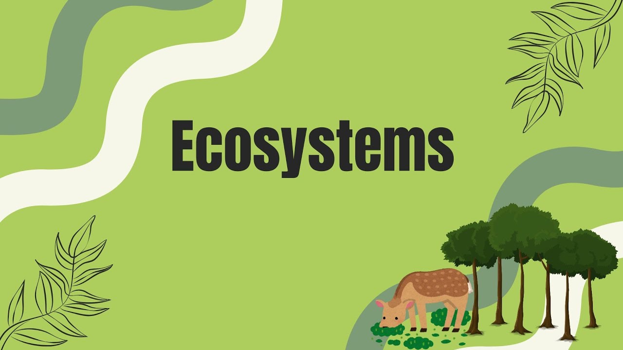 Ecosystems | Cambridge Learners Book Stage 8 Unit 4 I Teaching tool ...