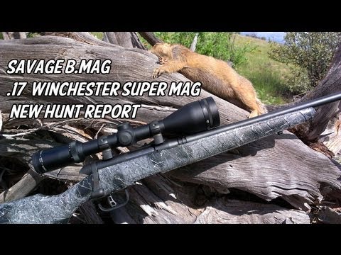 Savage BMAG 17 Winchester Super Mag - New Hunt Report - YouTube