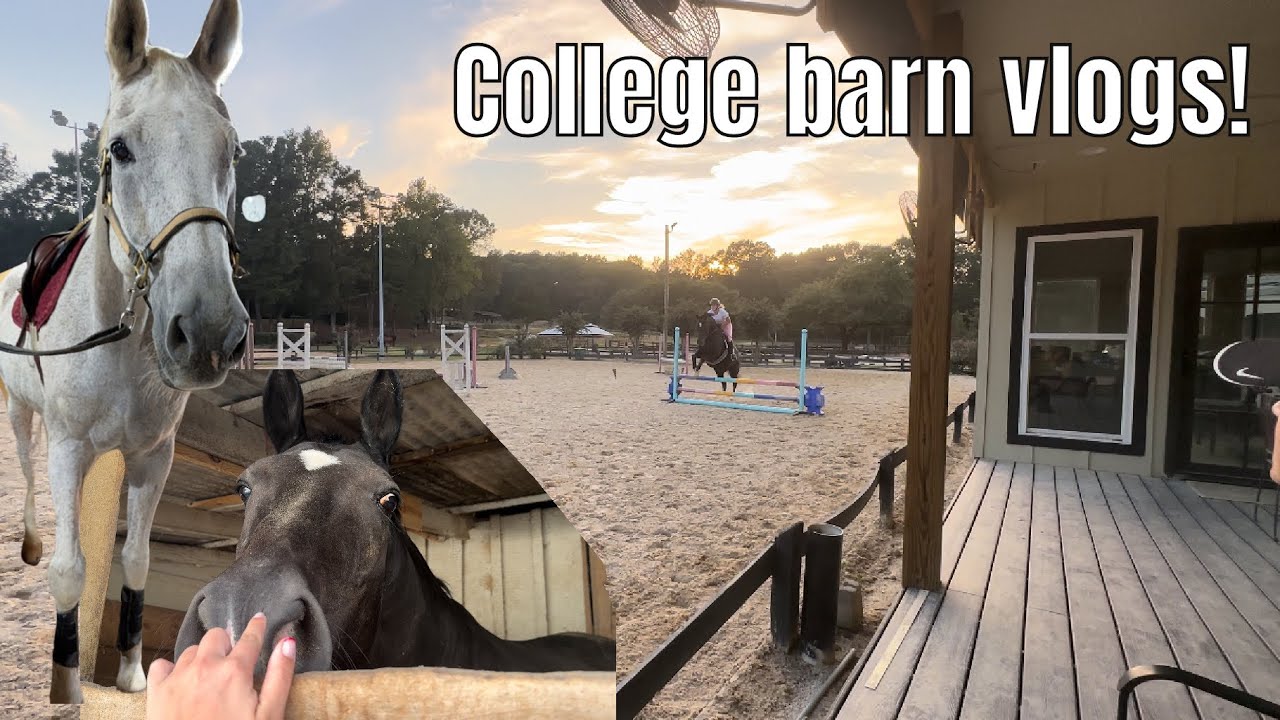 College barn vlog! - YouTube