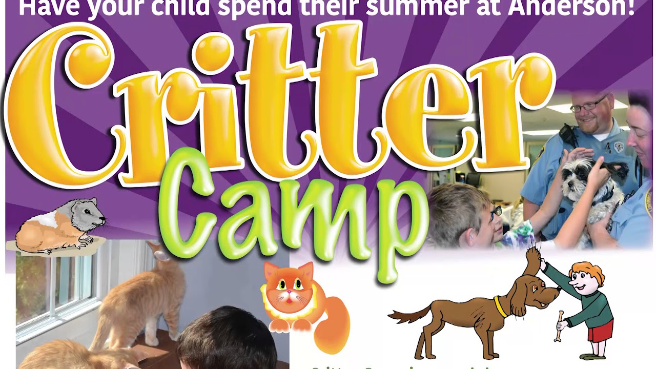 Anderson Animal Shelter Interview YouTube anderson-animal-shelter-interview-youtube