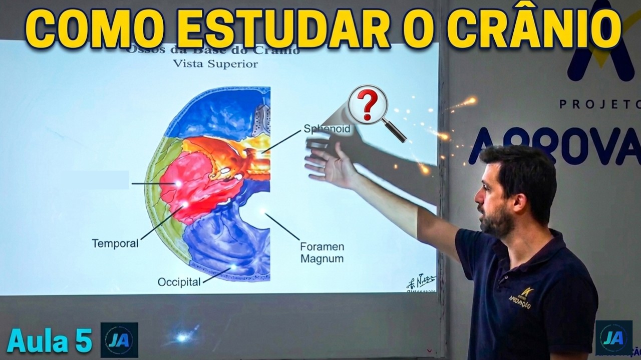 Introdução ao estudo do CRÂNIO | Generalidades e Base do CRÂNIO | AULA ...