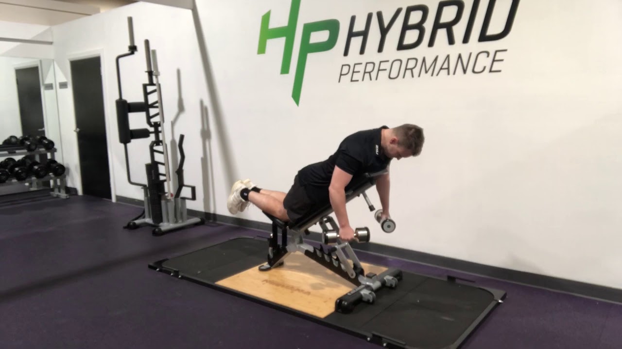 Row - 30* Prone - Semi Pronated - Dumbbells - YouTube