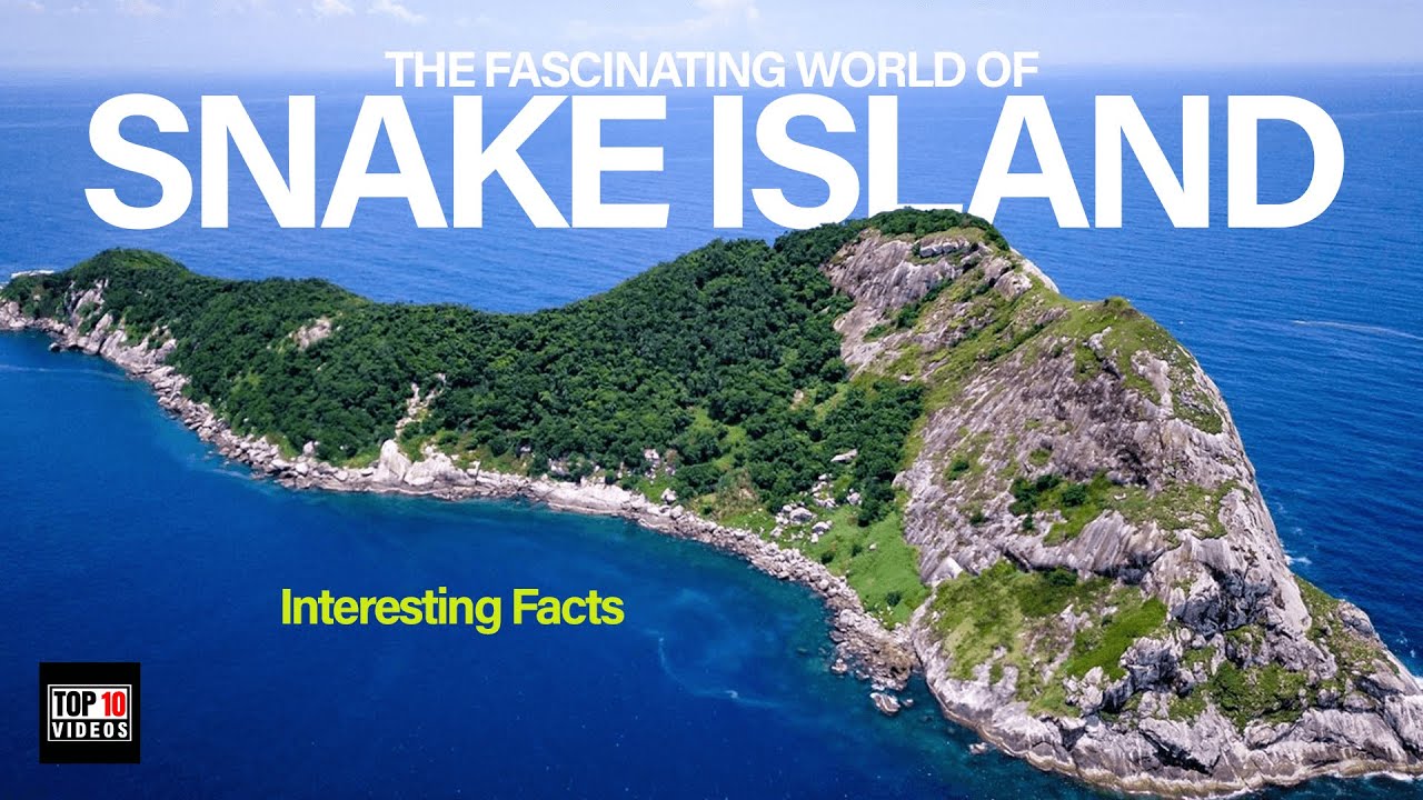 10 Interesting Facts About The Snake Island (Ilha da Queimada Grande ...