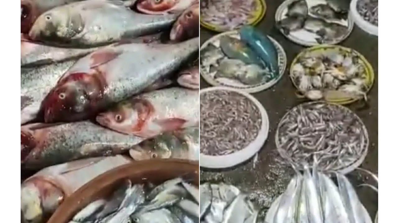 Maagang Pamamalengke Sa Fishport Ng Pandawan Rosario Cavite - YouTube