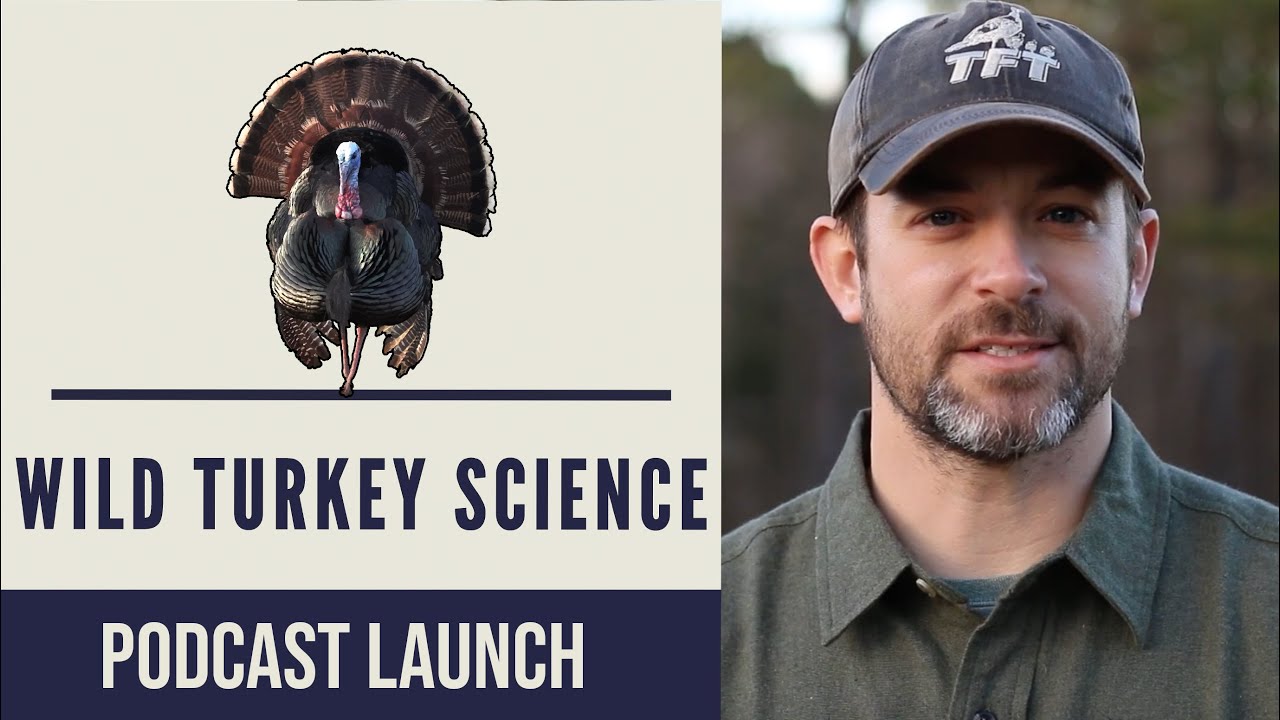 Intro to the Wild Turkey Science Podcast - YouTube
