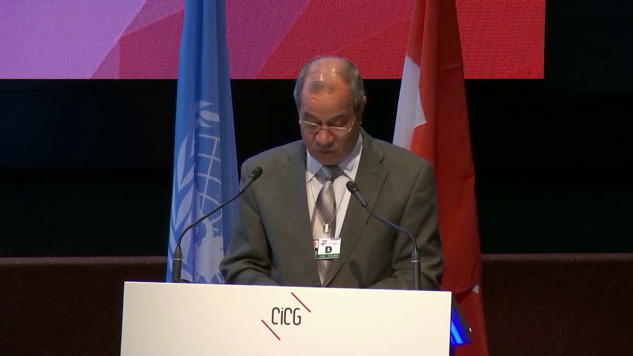 Egypt: Official statement at the Global platform for Disaster Risk ...