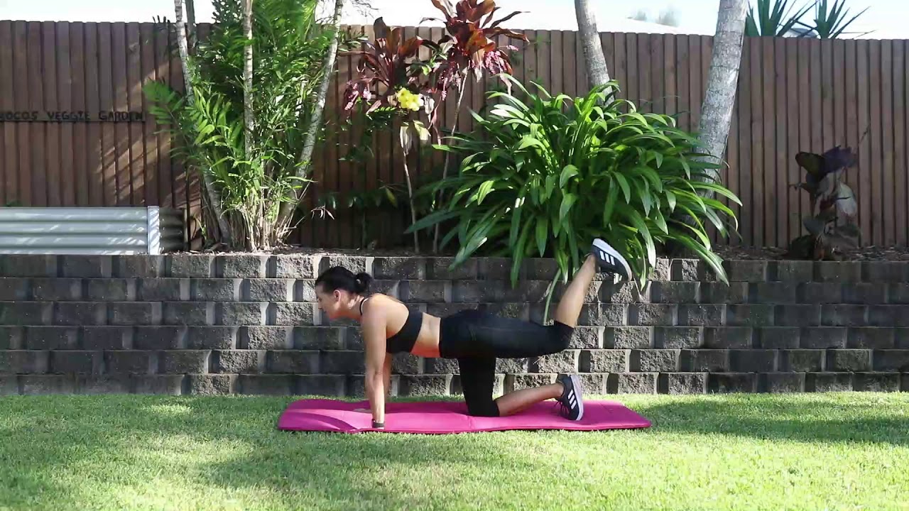 Donkey Kick Pulses - YouTube