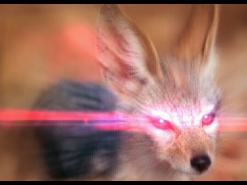 Jakul.mp4 - YouTube