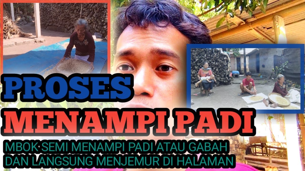 Mbok semi menampi padi secara tradisional, #@zaenalchannel #suasanadesa ...