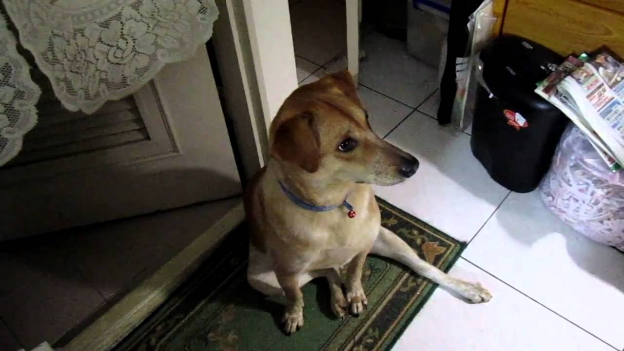 Muagee, Pull your leg back. - YouTube