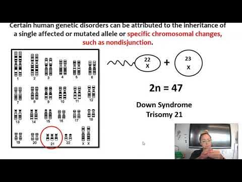 AP Biology Topic 5.6 Chromosomal Inheritance - YouTube