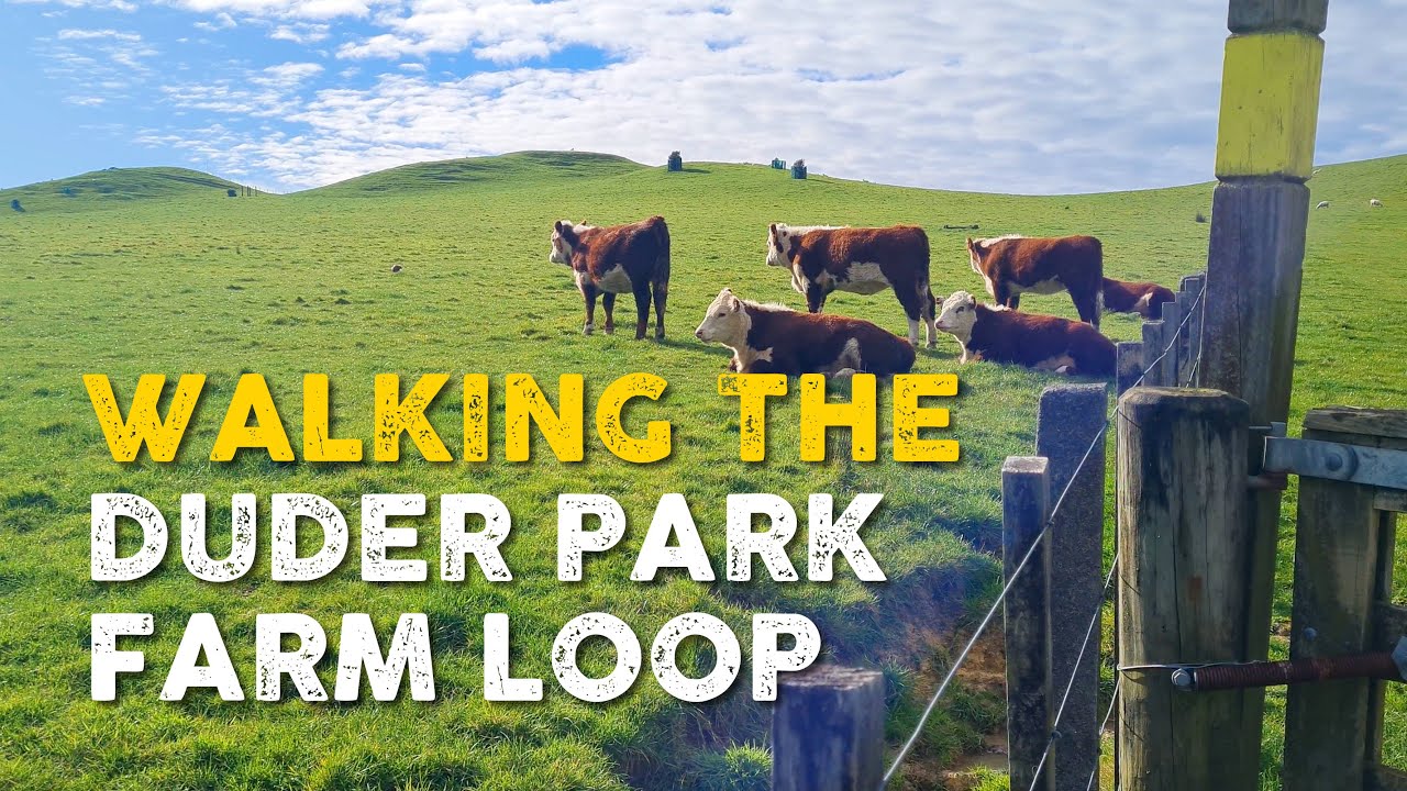 🇳🇿 Auckland New Zealand's Hidden Gem: Duder Regional Park - YouTube