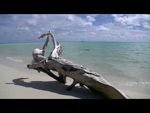 Palau - Visiting Helen Reef Conservation Area - YouTube