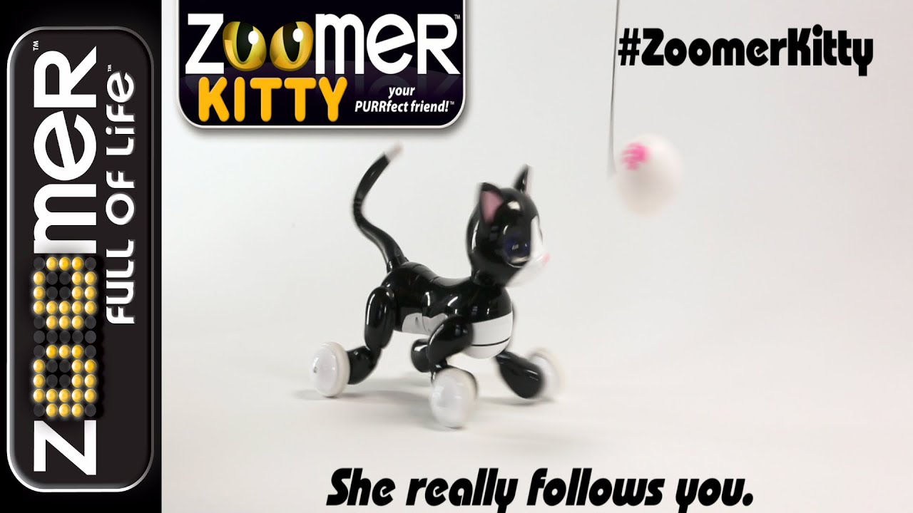 Zoomer | Zoomer Kitty | She Really Follows You - YouTube