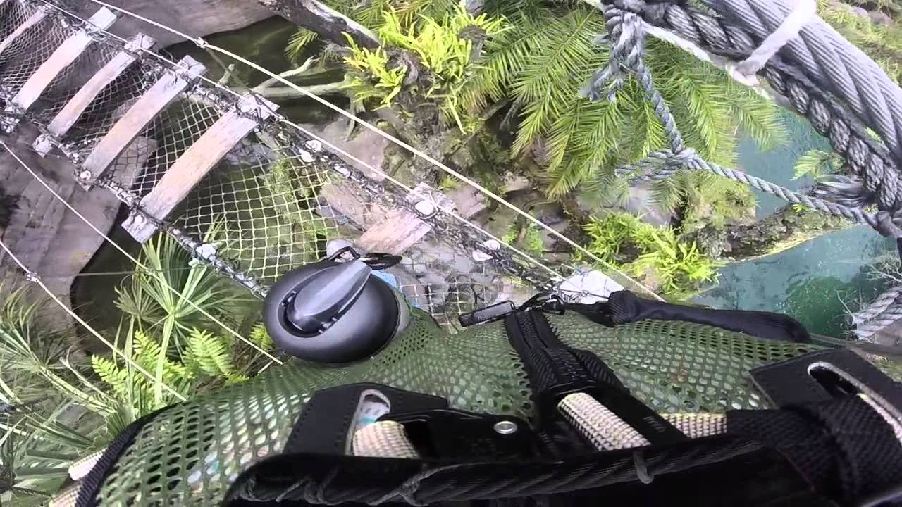 Wild Africa Trek at Disney World's Animal Kingdom - YouTube