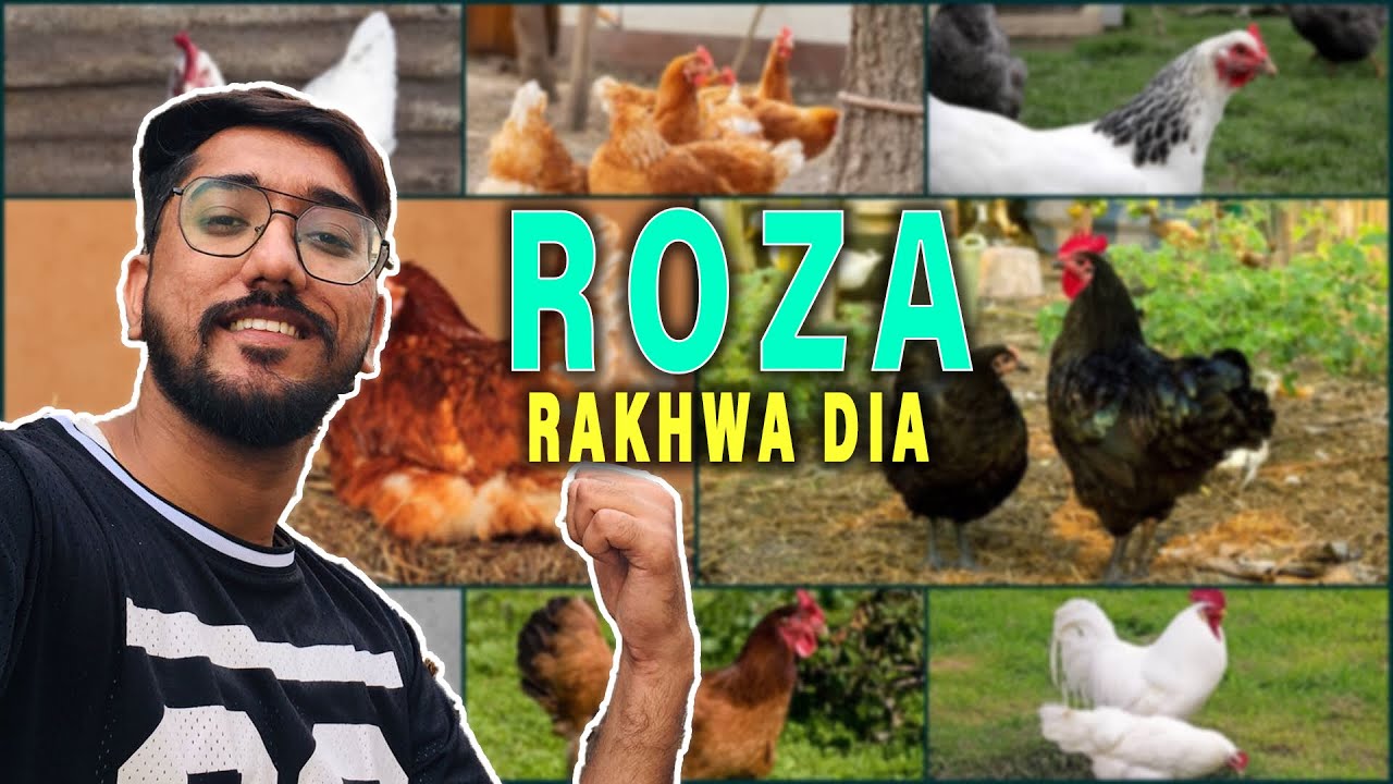 Mini farm mai new addition 😍| Mini farm walo ka roza rakhawa dia😁 - YouTube