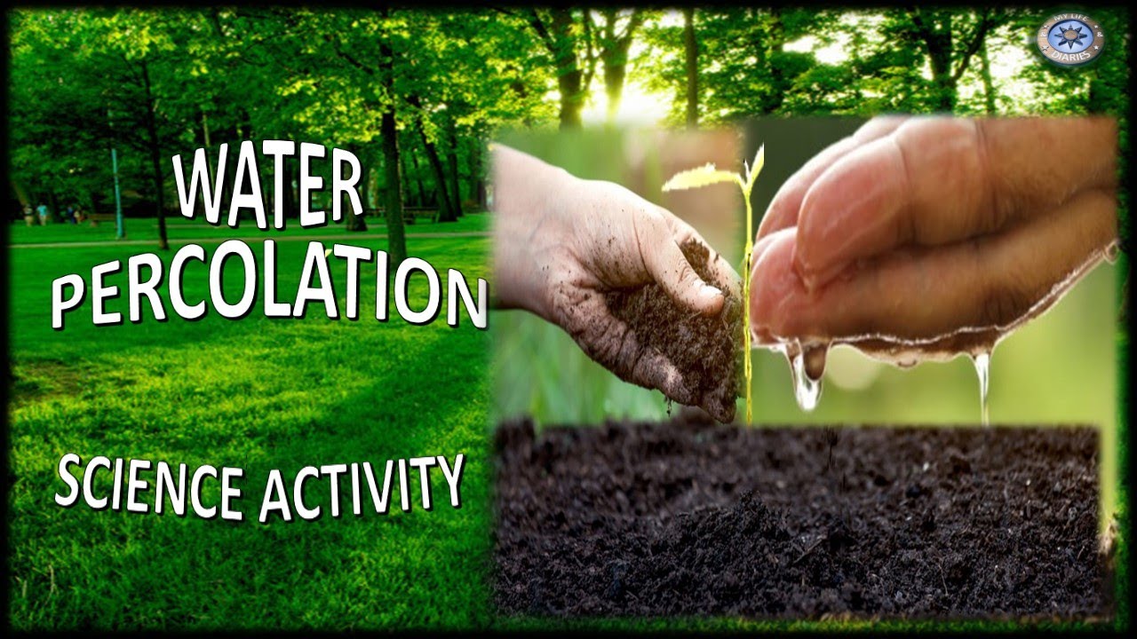 WATER PERCOLATION | Science | Activity | Water | Nature - YouTube