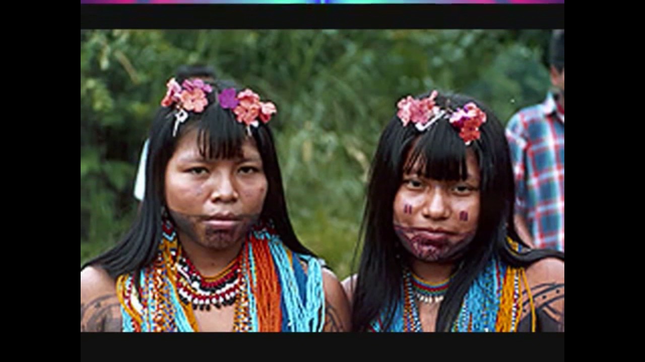 Grupo Indígena - Motilon Bari - YouTube