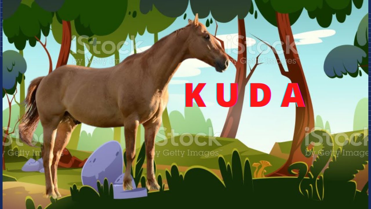 efek suara kuda berlari-pembelajaran anak anak - YouTube