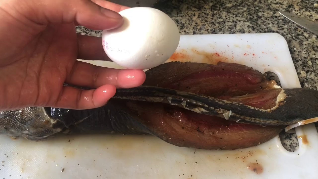 Fried Hito/Catfish: Crispy &Tasty - YouTube