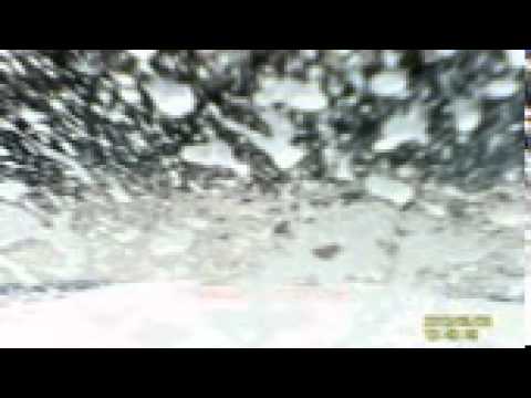arac ici offroad