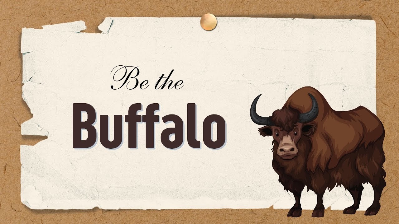 Be The Buffalo - YouTube