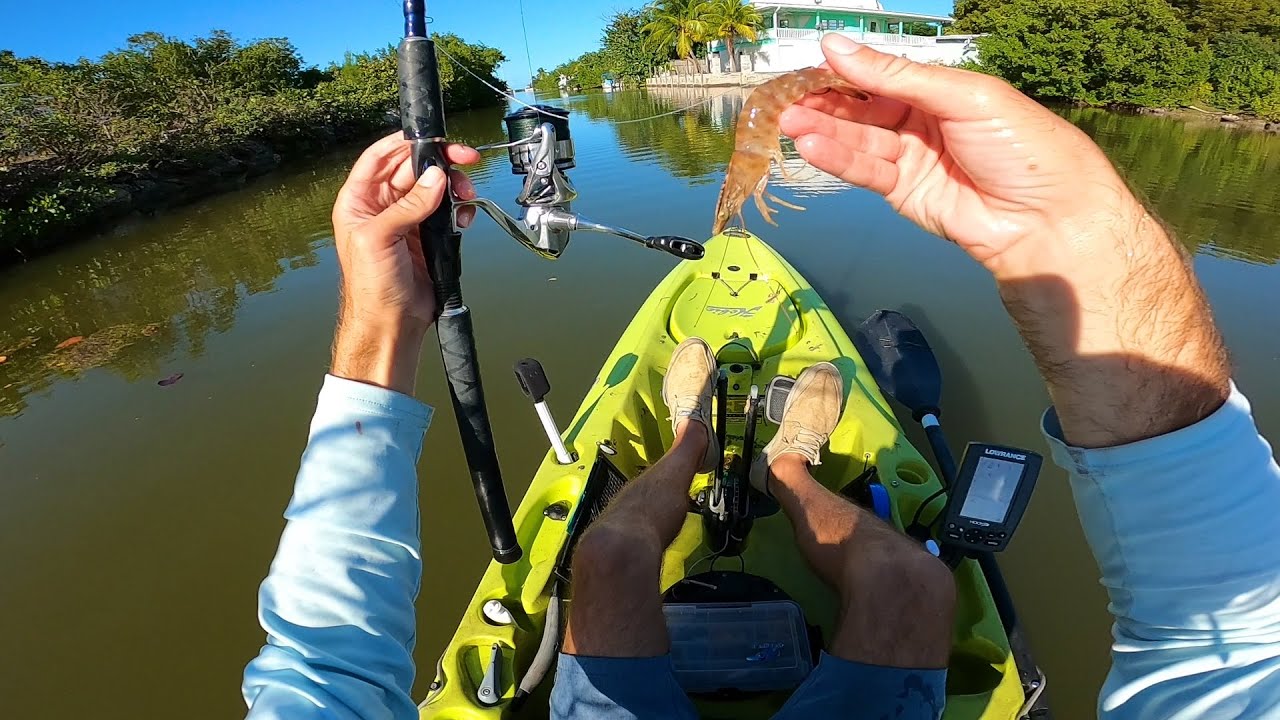 Awesome Canal Tarpon Bite with Shrimp - Florida Keys Episode 4 - YouTube