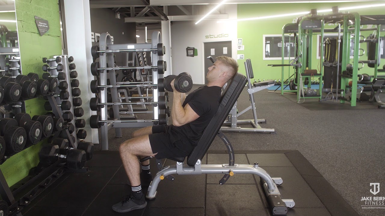 Seated Arnold Press - YouTube