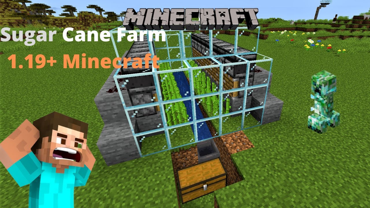 Easy way to make sugar cane farm in Minecraft 1.19+ (Pocket/JAVA) - YouTube