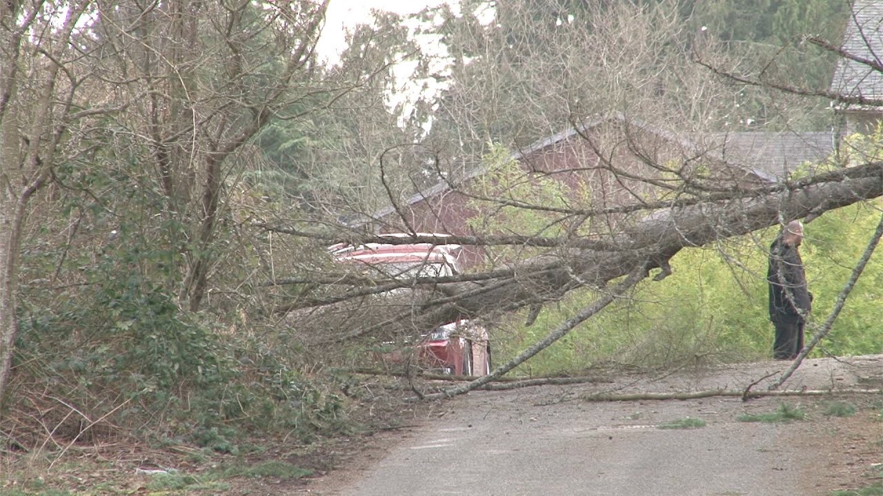 Tree Downed Power Lines Causing 128th St E Closure Puyallup Wa Youtube